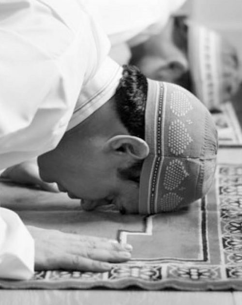 What Can a Sajdah Do for You?