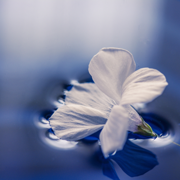 Top 6 Reasons to Build Taqwa